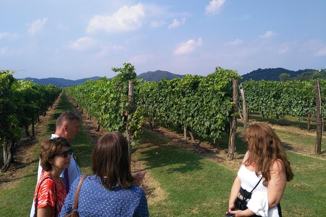 From Abano Montegrotto, Wine Tour in the Euganean Hills - Authenticity and Personal Touch