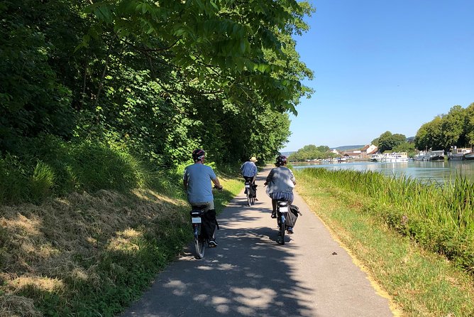 From Epernay Full day Electric bike Champagne and lunch - Who Will Love This Tour?