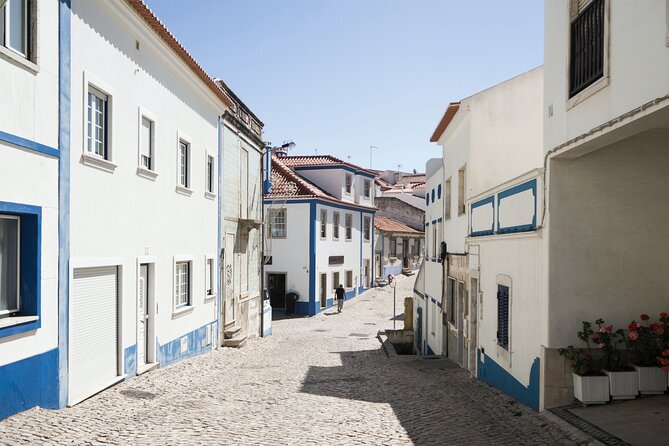 From Lisboa: Mafra, Ericeira & Queluz Small-Group Full Day Tour - The Practicalities: Transportation, Timing, and Group Size