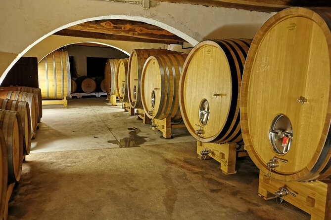 From Marseille : Sidecar Wine Tour to Cassis and Bandol - Final Thoughts
