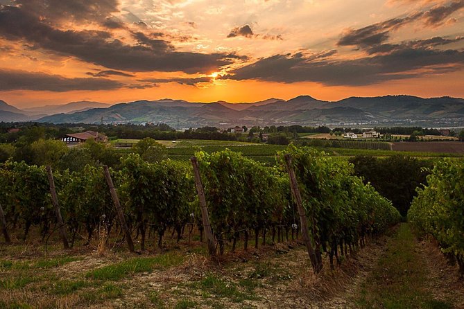 From Parma: Parmigiano,Prosciutto and winery Tour and tasting - FAQ