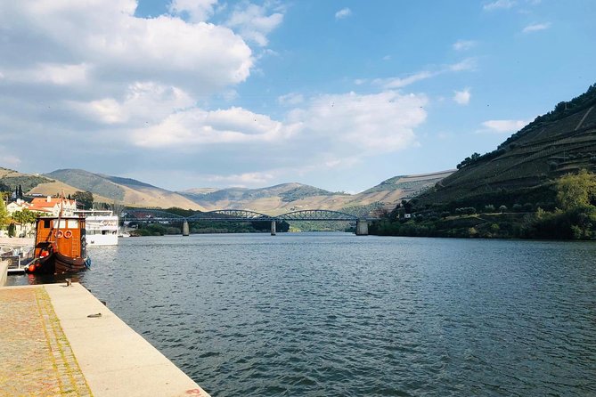 From Porto Private Tour Douro Valley two Wineries, Lunch and Boat. - Who Should Consider This Tour?