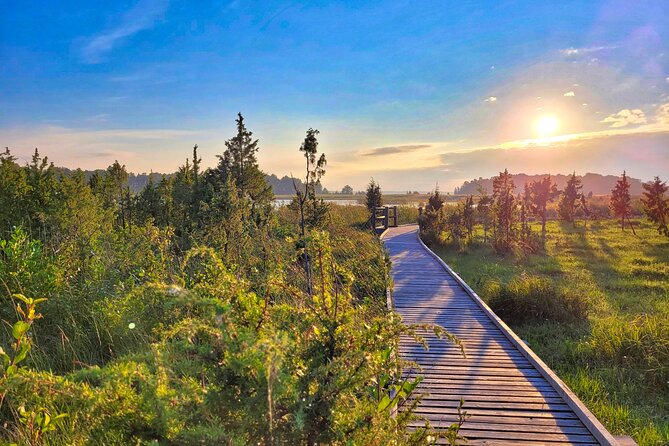 From Riga: Best of Kemeri National Park In One Day - Who Should Sign Up?