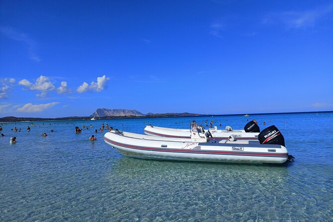 From San Teodoro Mini Tour of the Tavolara Archipelago - FAQ