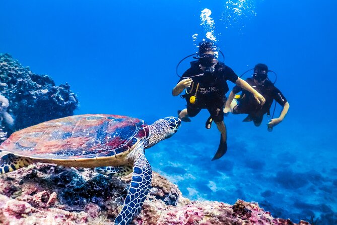 From Side, Alanya: Scuba Diving With 2 Time Dive & Lunch - FAQs About the Scuba Diving With 2 Time Dive & Lunch Tour