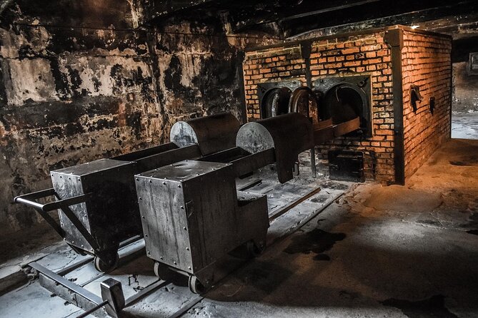 From Warsaw: Auschwitz-Birkenau Tour with Premium Train Transportation - The Significance of Guided Tours