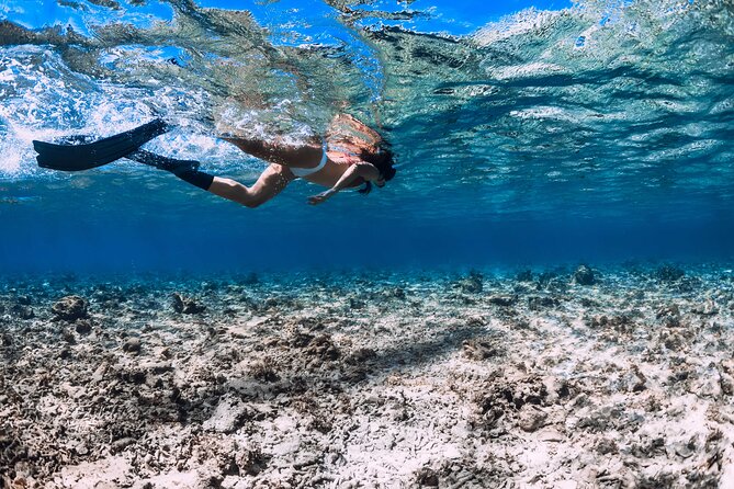 Full Day Boat Tour, Blue Lagoon and olta with lunch&drinks - Who Would Love This Tour?