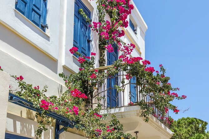 Full Day Butterflies and Boat Tour to Chalki Island - Authenticity and Value: What Sets This Tour Apart