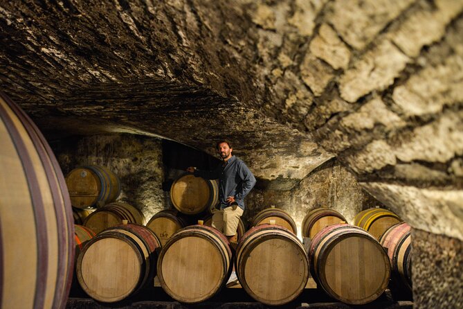 Full day from Dijon: the most of Burgundy with lunch - Who Will Love This Tour?
