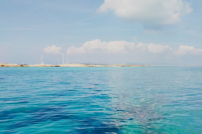 Full-Day Ibiza & Formentera Private Sailing Tour - Who Should Book This Tour?