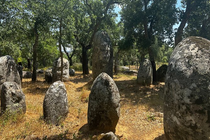 Full Day Megalithic Tour with Lunch Included - Who Will Love This Tour?