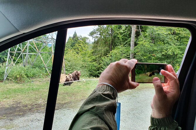 Full-Day Private Carpatian Garden with Dracula's Fortress - Wild Brown Bears - The Sum Up