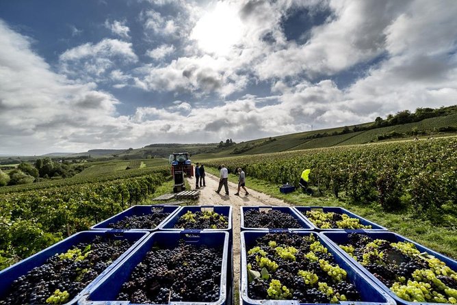 Full-Day Private Guided Tour of Champagne wih Hotel Pickup - Frequently Asked Questions