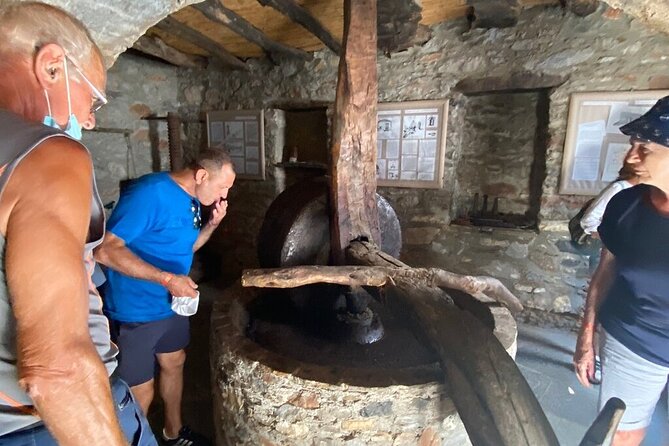 Full-Day Private highlights tour in Naxos island - What Travelers Say