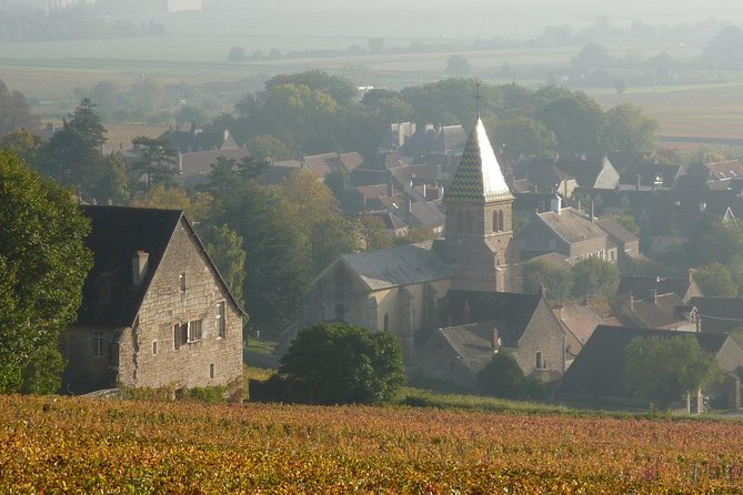 Full Day Private Tour 10 Premiers & Grands Crus, The Best of Burgundy - Who Should Consider This Tour?