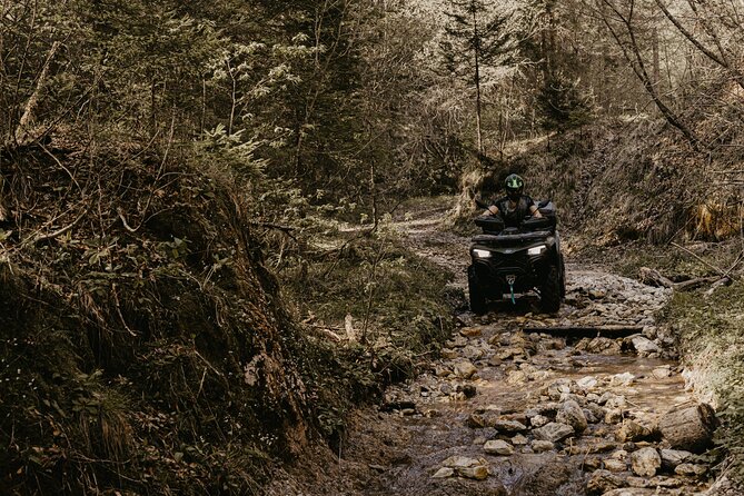 Full-Day Quad Rental in Bled - The Sum Up