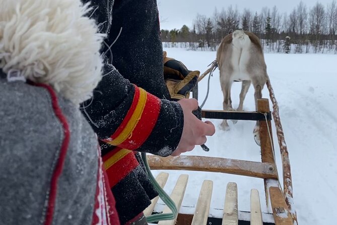 Full-Day Reindeer Tour with Pickup in Kiruna - FAQ - Frequently Asked Questions