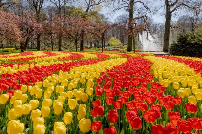 Full-Day Skip the Line Keukenhof and Canal Cruise from Amsterdam - The Sum Up: Is This Tour Worth Your Time?