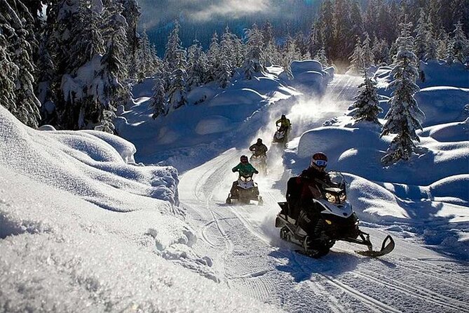 Full Day Snowmobile Safari - FAQs