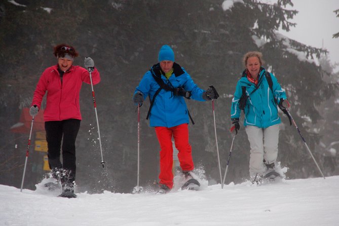 Full-Day Snowshoeing in High Tatras with Local Mountain Guide from Poprad - The Terrain and Scenery