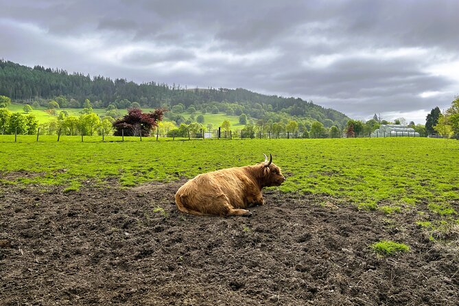 Full-Day Trip: Loch Ness, Glencoe & The Highlands from Edinburgh - In summary,