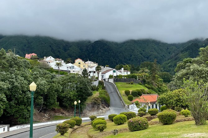 Furnas Vale, Gorreana Tea Factory Private Van Tour - Final Thoughts