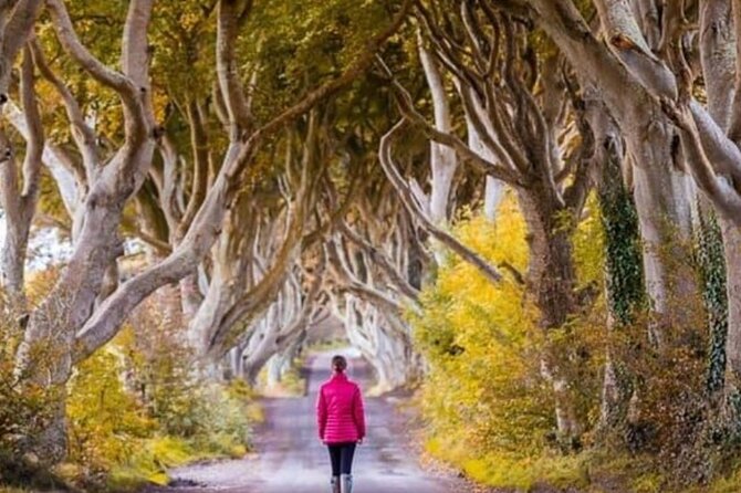 Giants Causeway and Belfast 2 Days with Private Chauffeur Tour - Final Thoughts