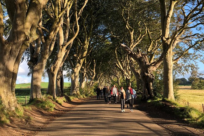 Giants Causeway, Rope Bridge, Carrickfergus Castle and Dark Hedges Tour - Final Thoughts