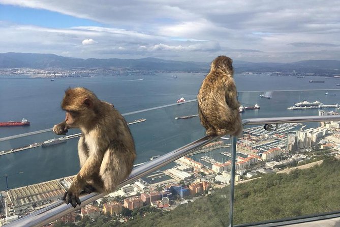 Gibraltar Sightseeing: Premium Rock Tour / Shore Excursion (Private) - The Sum Up