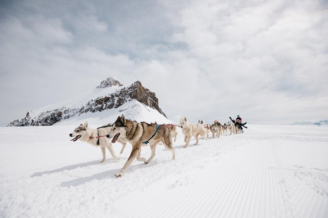Glacier 3000 Ticket Including Cable Car and Peak Walk by Tissot - What the Reviews Say