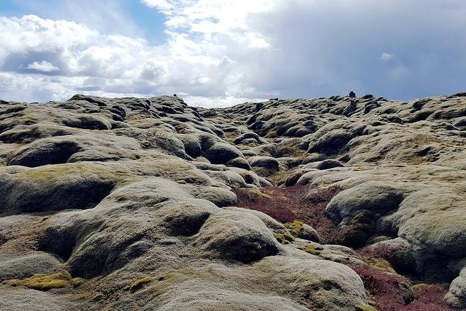 Glacier Lagoon & South Coast. Private Day Tour - FAQ