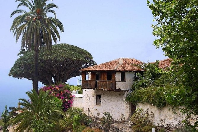 Go West - VIP Private Tour in Tenerife to Masca, Garachico and Icod - Who Will Love This Tour?