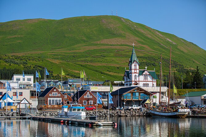 Goðafoss and Húsavík with a stop at the Geosea Baths - Who Will Love This Tour?