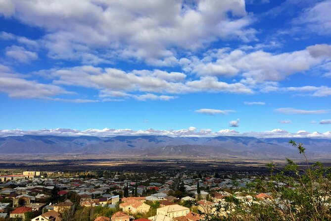 Grand tour to Kakheti for wine lovers: Telavi-Kvareli-Sighnaghi - Summary