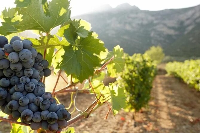 Greece Wine Roads: Athens, Nemea and Santorini - Final Thoughts