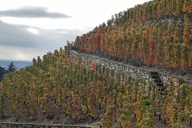 Guided tour and wine tasting Northern Rhône Valley - FAQ