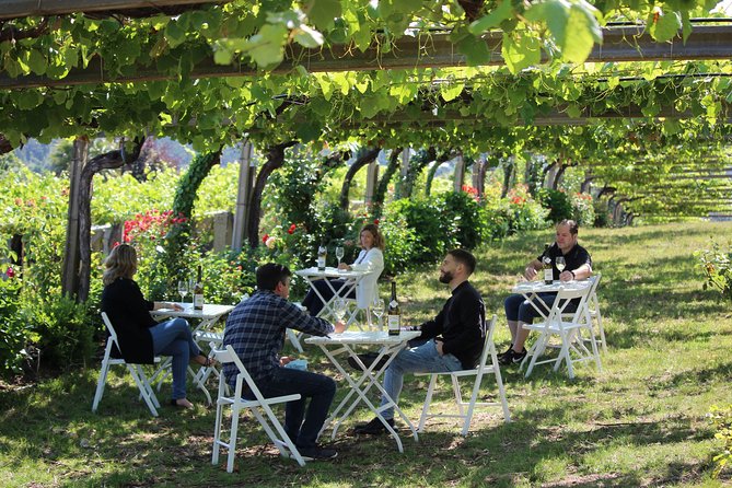Guided tour of Bodegas Granbazán - Frequently Asked Questions