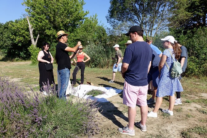 Guided tour of Lavender Distillery between Provence & Camargue - FAQ