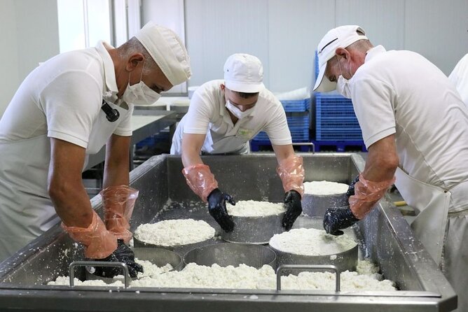 Guided Tour of Montesdeoca Cheese Factory with Cheese Tasting - FAQ About the Montesdeoca Cheese Tour