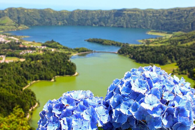 Guided Tour to the Sete Cidades Volcano in São Miguel Azores - What the Reviews Say