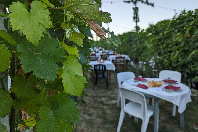 Guided Walk and Lunch in the Vineyard in Alba - FAQs
