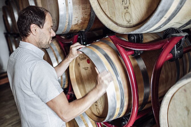 Guided winery tour with tasting in Bolzano at the SKYWINE PAVILLON - The Sum Up