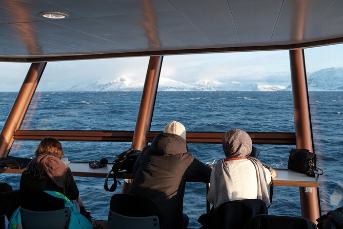 Half Day Arctic Fjord Cruise from Tromso - FAQs