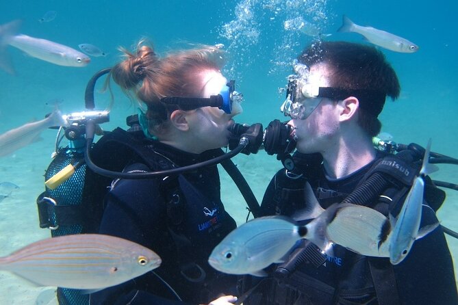 Half day boat diving experience for beginners in Kos Greece - The Real-World Feedback