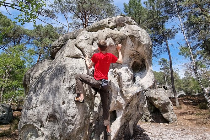 Half-Day Bouldering in Fontainebleau - The Value of the Experience