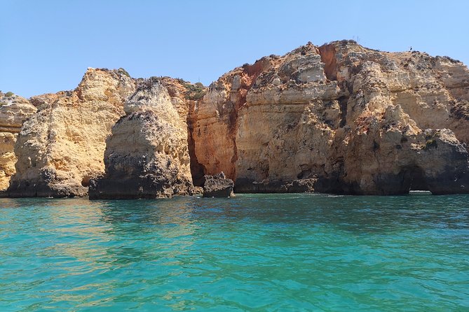 Half Day Cruise to Ponta da Piedade with Lunch and Drinks - Who Will Love This Tour?