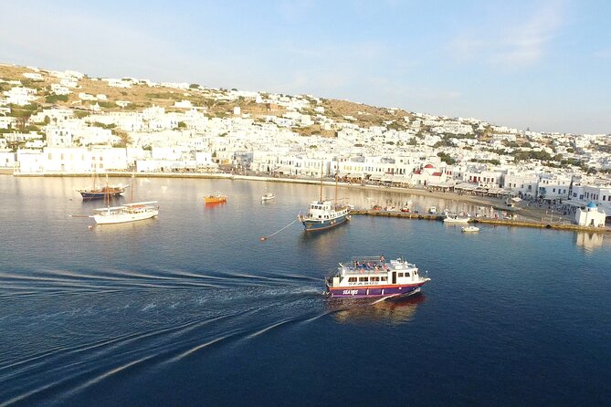 Half Day Delos Tour of Mykonos from the Cruise Ship Port - The Real Traveler Experience