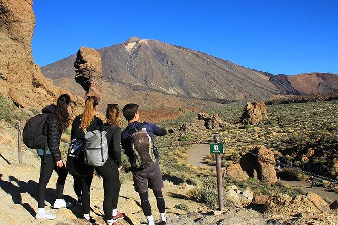 Half-day excursion to Teide National Park - Who Will Love This Tour?