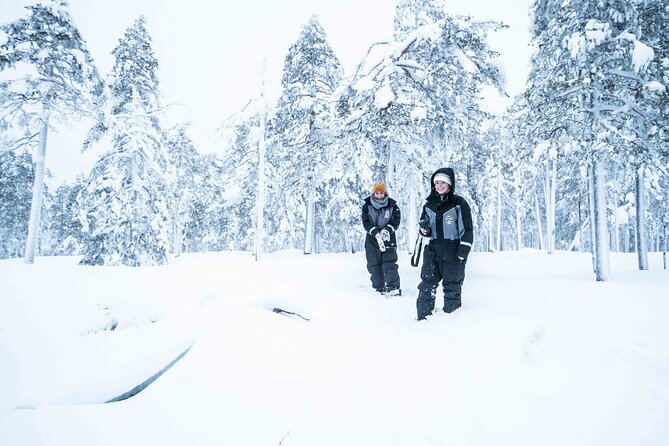 Half Day Guided Tour in the Wilderness of Levi - Who Should Consider This Tour?