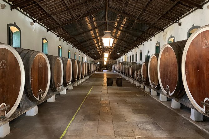 Half Day in Sintra and Cabo da Roca with Wine Tasting - The Sum Up: Is This Tour Worth It?